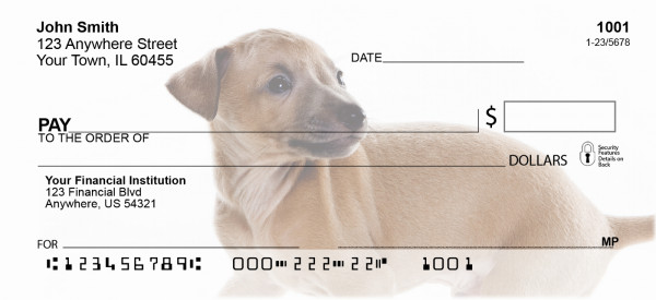Italian Greyhound Personal Checks